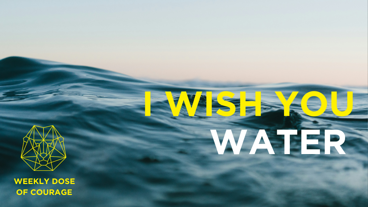 I Wish You Water - Ryan Berman